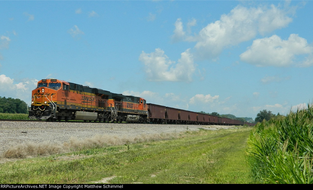 Passing By The Corn Fields
